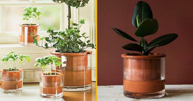 Top 70+ pots et cache-pots originaux